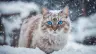 Fine Pixel | AI Image Upscaler & Image Generator